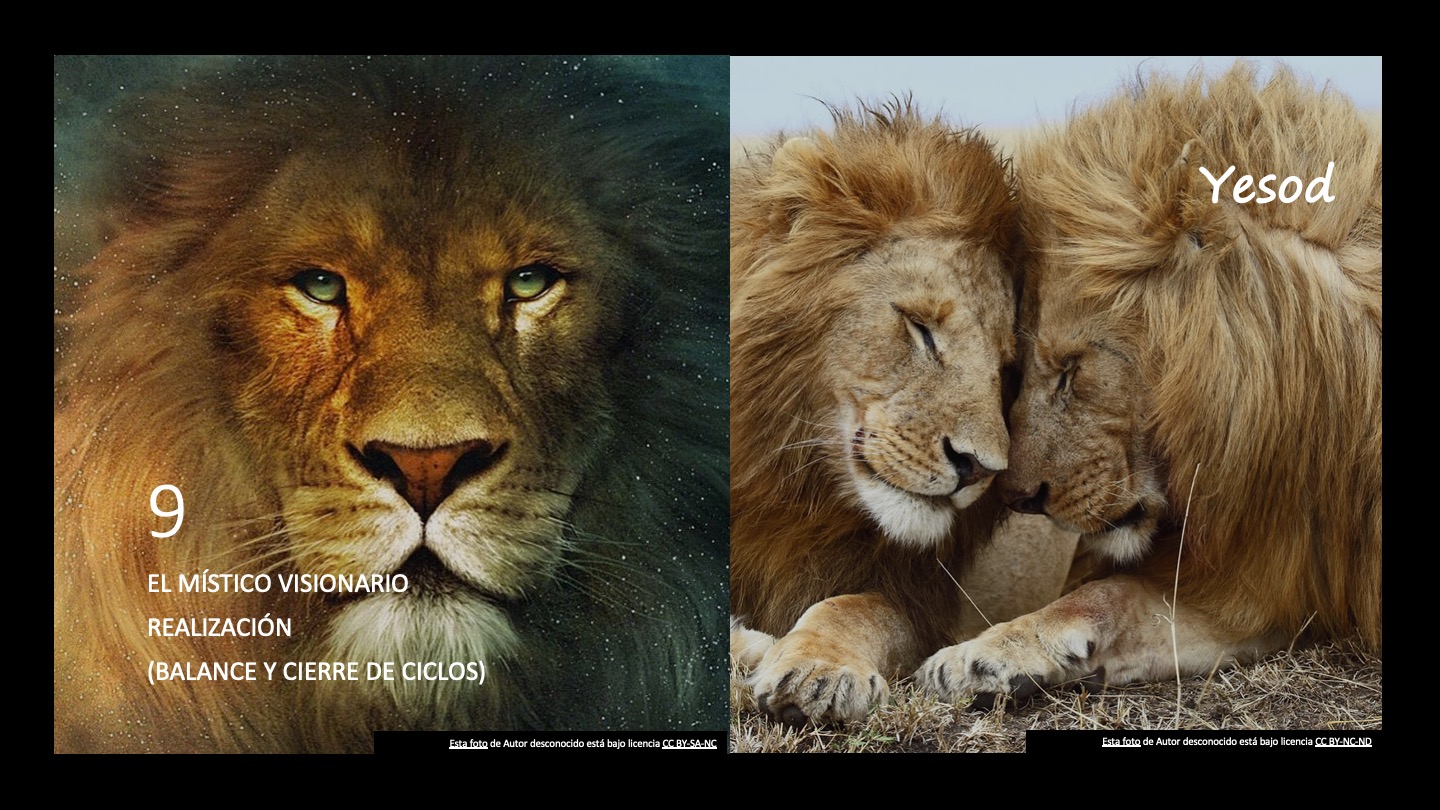 Letra I – Conoce tu Numerología